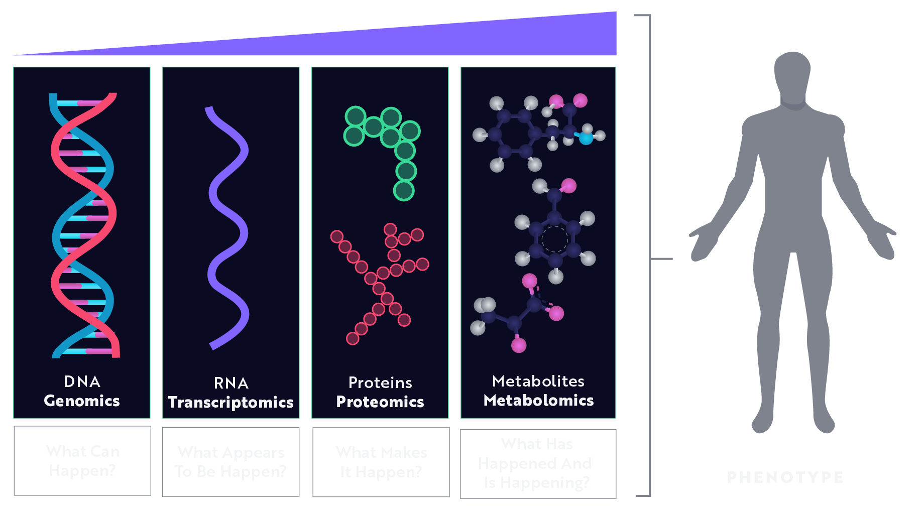 Introduction To The ARK Genomic Revolution ETF (ARKG)